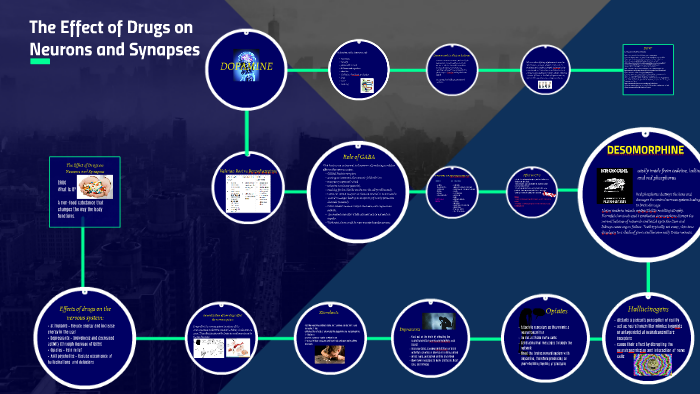 The Effect of Drugs on Neurons and Synapses by Julie Chen on Prezi