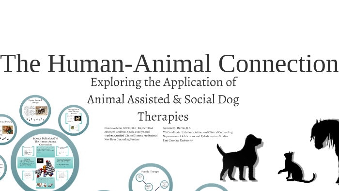 The Human-Animal Connection: Exploring Applications of Animal Assisted ...