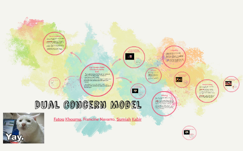 Dual Concern Model by S K on Prezi