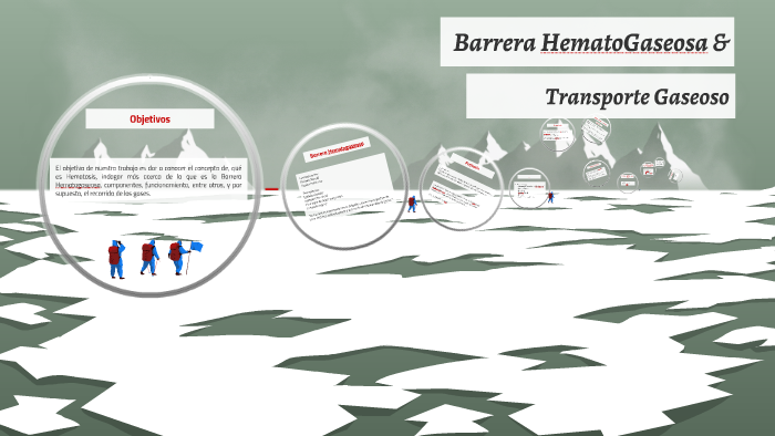 Barrera HematoGaseosa & by Ana Deras on Prezi
