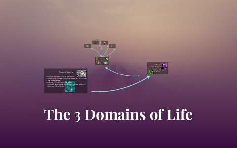 The 3 Domains of Life by Nick Pietrinferno on Prezi