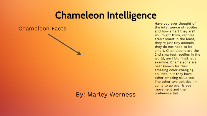 Chameleon Intelligence by Marley Werness on Prezi