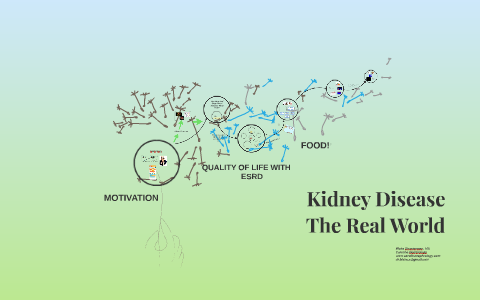 Kidney Disease by Blake Shusterman on Prezi