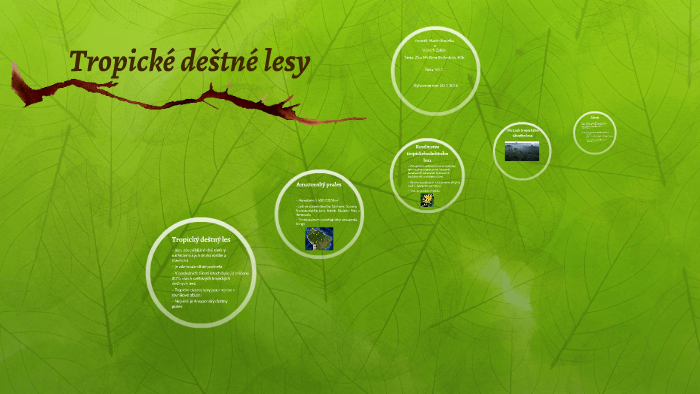 Tropické deštné pralesy by Martin Kostelka on Prezi