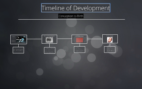 Timeline of Development - Conception to Birth by Kale Daniels on Prezi