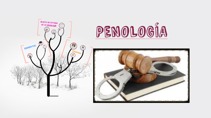 PENOLOGÍA by Nany EmoOxa on Prezi