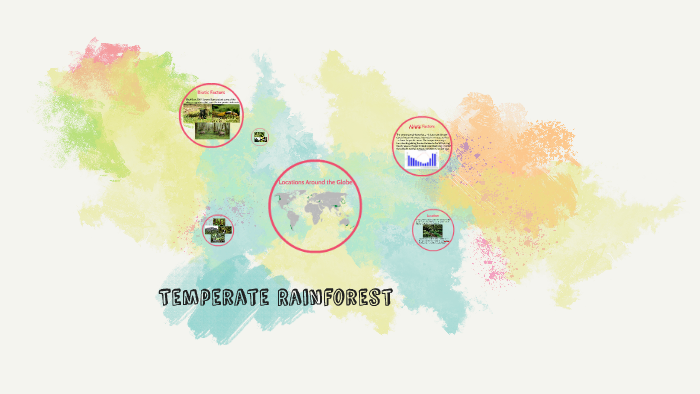Temperate Rainforest by Kaynin Vaughn on Prezi