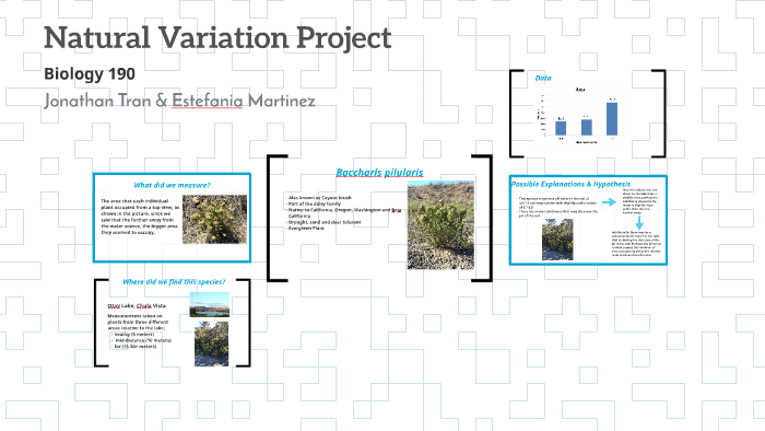 Natural Variation Project by on Prezi