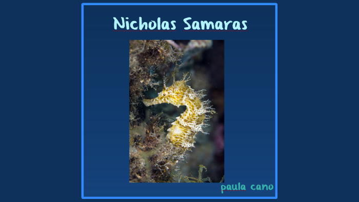 Nicholas Samaras by paula cano on Prezi