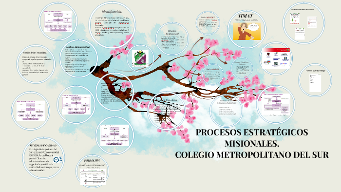 PROCESOS ESTRATÉGICOS MISIONALES. by Gisselle Galeano Ortiz on Prezi