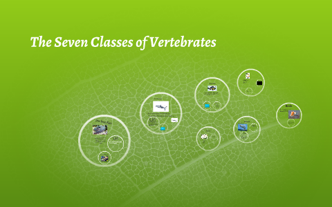 The Seven Classes of Vertebrates by Hunter Freese on Prezi