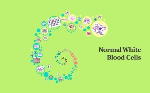 Normal White Blood Cells by Jessica Welch on Prezi