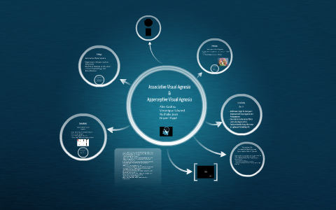 Associative Visual Agnosia by Dru Patel