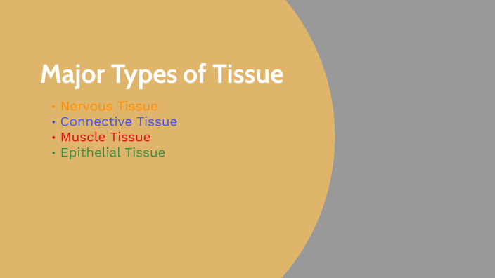 Mason Goodell - Major Tissues Context Map by mason goodell on Prezi