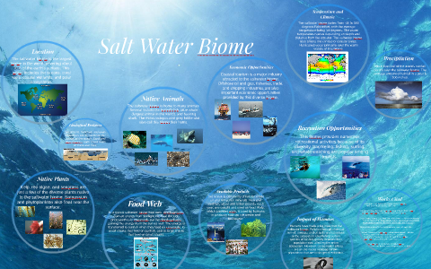 Salt Water Biome by Corynn Martin on Prezi