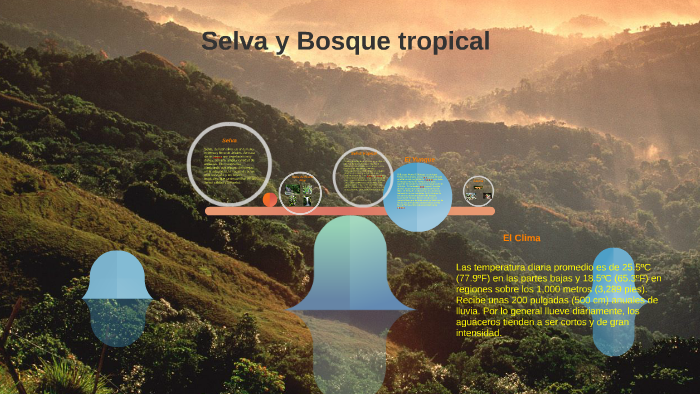 Selva y Bosque tropical by on Prezi