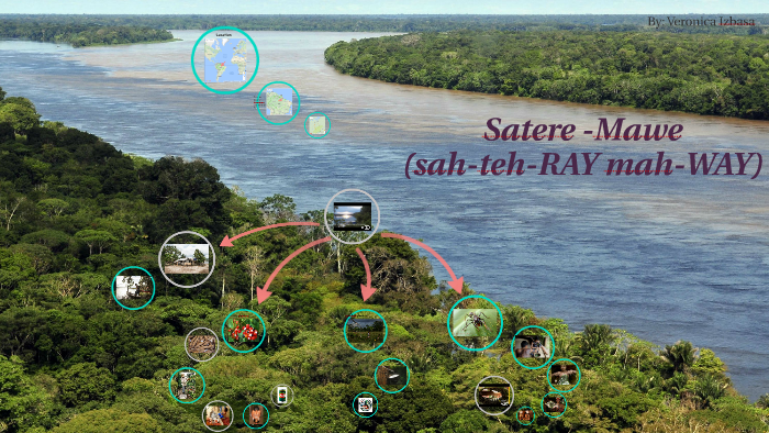 Satere-Mawe Tribe by Veronica I on Prezi
