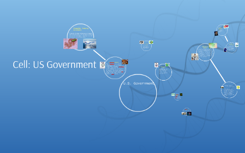 Cell: US Government by Emily Payne on Prezi