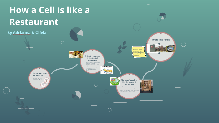 How a Cell is like a Kitchen by Adrianna Vasquez on Prezi