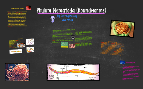 Phylum Nematoda (Roundworms) by Destiny Massey on Prezi