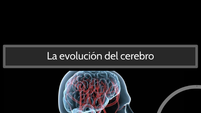 La evolución del cerebro by Tomás Jorge on Prezi