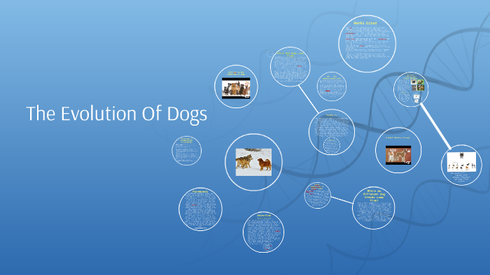 The Evolution Of Dogs by Shayna Campbell on Prezi
