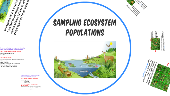 Sampling Ecosystem Populations by Christine Farag on Prezi