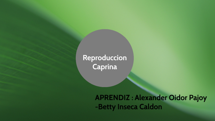 REPRODUCCION CAPRINA by Alexander Oidor Pajoy on Prezi