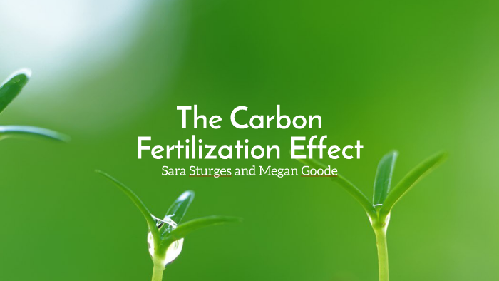 Carbon Fertilization Effect by Sara S on Prezi