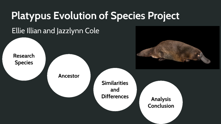 EI + JC Evolution of Species Project by Elisebeth Illian on Prezi