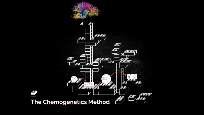 The Chemogenetics Method by Sarah Pullyard on Prezi