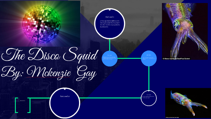 The Disco Squid by Amy Waine on Prezi