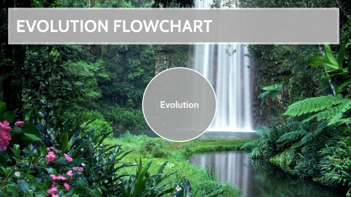 Evolution Flow Chart by Nolan Topper on Prezi