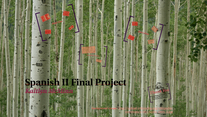 Spanish II Final Project by Kaitlyn McMinn on Prezi