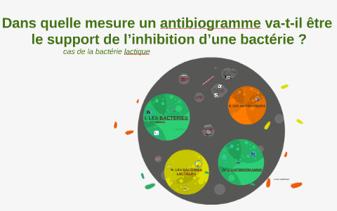 Dans quelle mesure un antibiogramme va-t-il être le support by janu ...