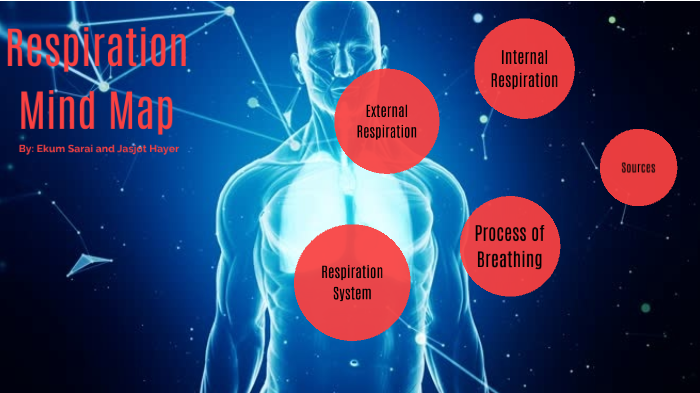 Respiration Mind Map by Ekum Sarai on Prezi
