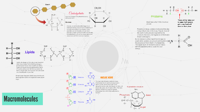 Macromolecules Poster by Matthew Dylewski on Prezi