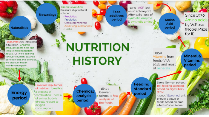 Brief historic of Nutrition by Clara Chataigner on Prezi