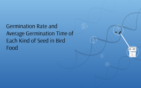 Germination Rate and Average Germination Time of Each Kind o by on Prezi
