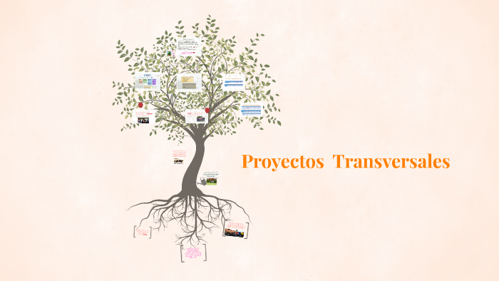 proyectos transversales by marialilia Guerrero on Prezi