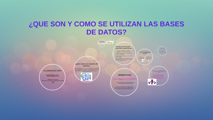 ¿CÓMO SON UTILIZADAS LAS BASES DE DATOS EN EL MUNDO REAL? by Wilder ...