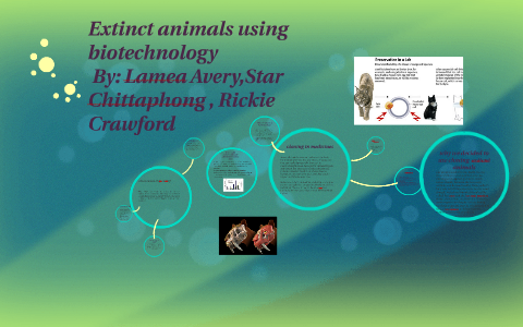 What is biotechnology? by table groupc on Prezi