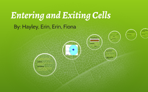 Entering and Exiting Cells by Erin Higson on Prezi