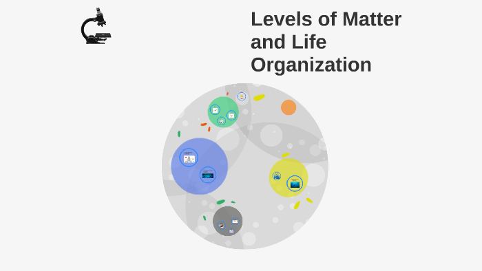 Levels of Matter andLife Organization by vale salinas on Prezi