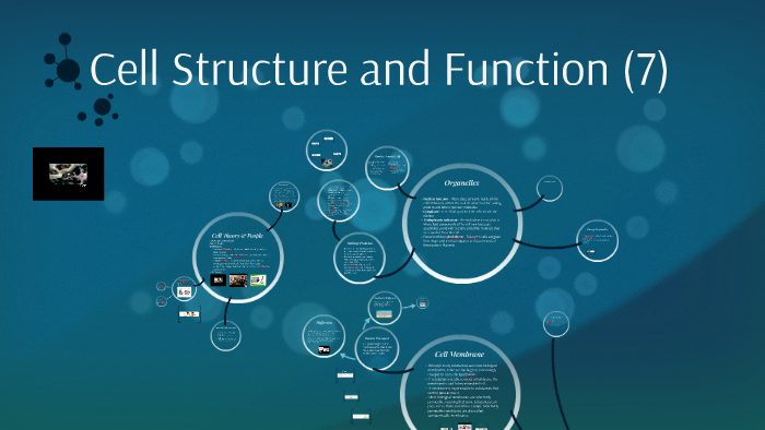 Cell Structure and Function - Chapter 7 Miller Levine by Christopher Luther on Prezi