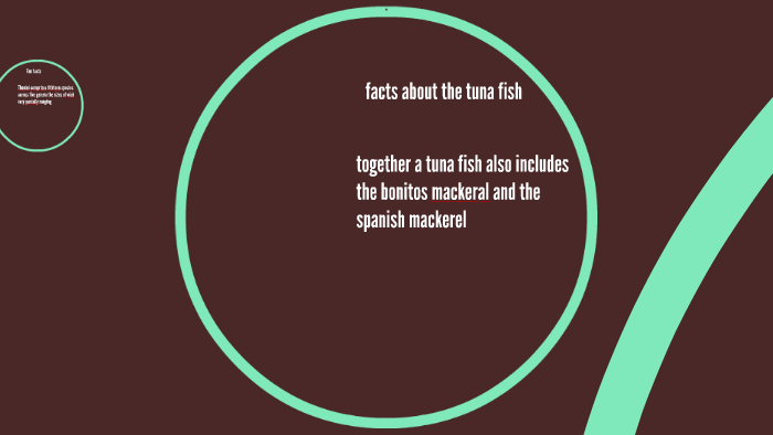fact and more things about the tuna fish by anyia tolbert on Prezi