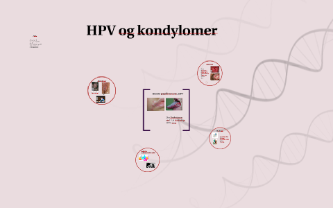 Kondylomer og HPV by Emma Hansen on Prezi