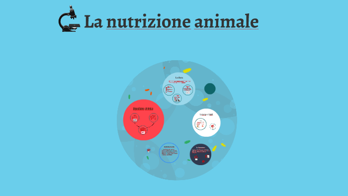 La nutrizione animale by Francesca d'Angelo on Prezi