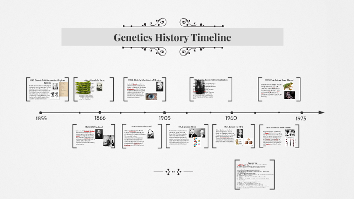 Genetics History Timeline by Jasper Ludington on Prezi