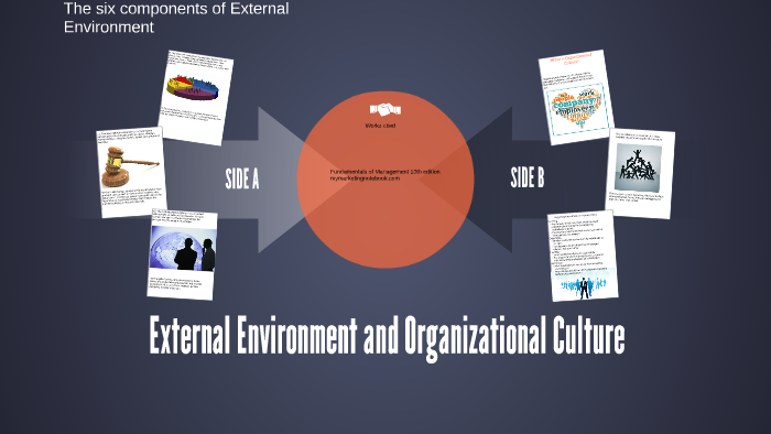 External Environment and Organizational Culture by Whitney Hughes on Prezi